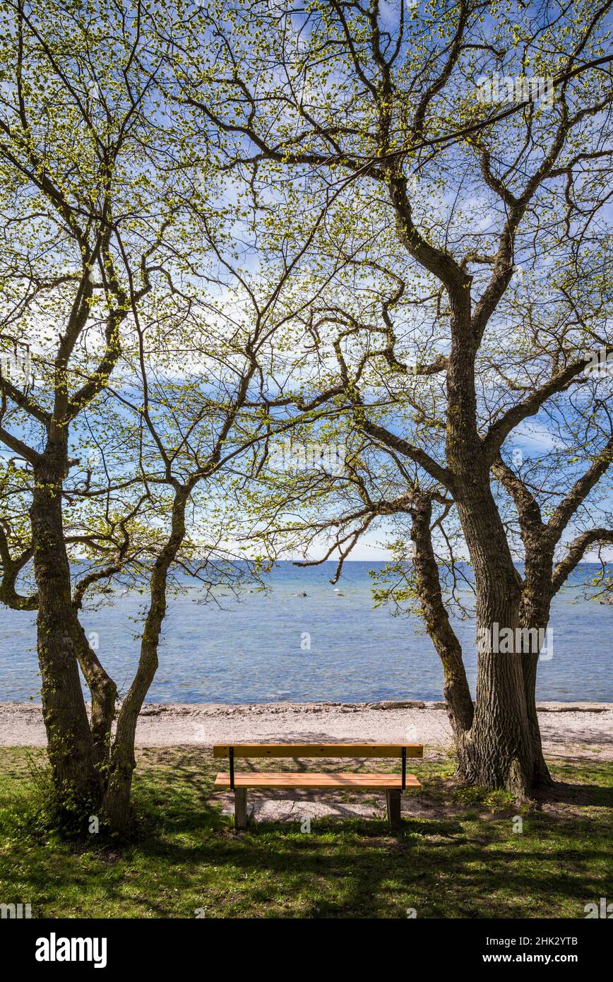 Sweden, Gotland Island, Visby, Strandpromenaden, coastal walkway Stock ...
