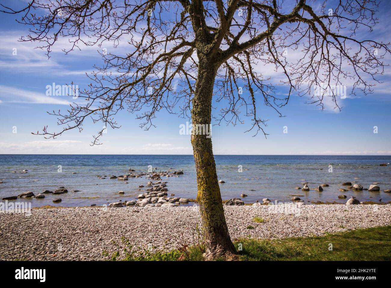 Sweden, Gotland Island, Visby, Strandpromenaden, coastal walkway Stock ...