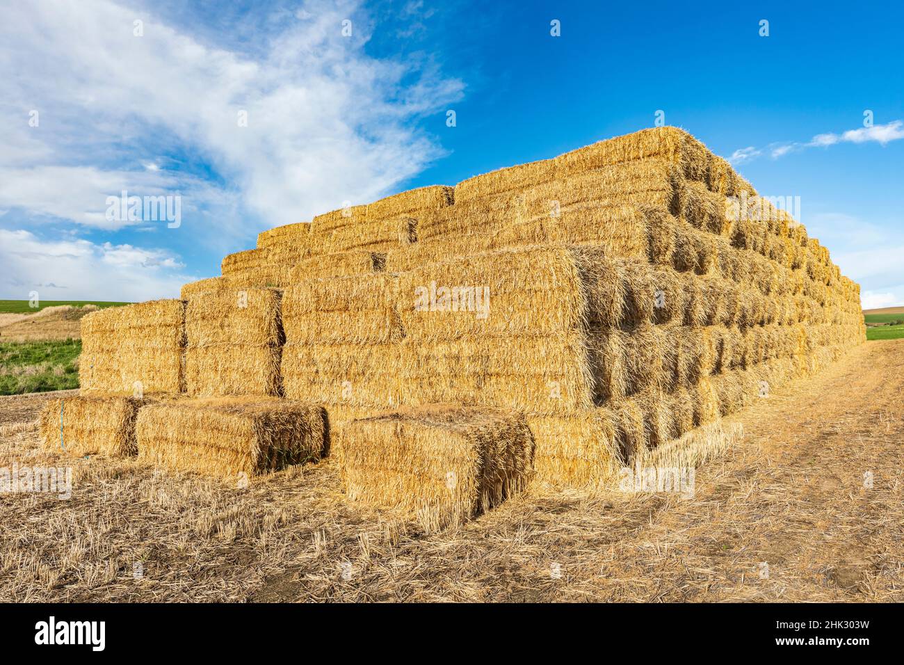 Pullman, Washington State, USA. Stack of hay bales in the Palouse hills ...