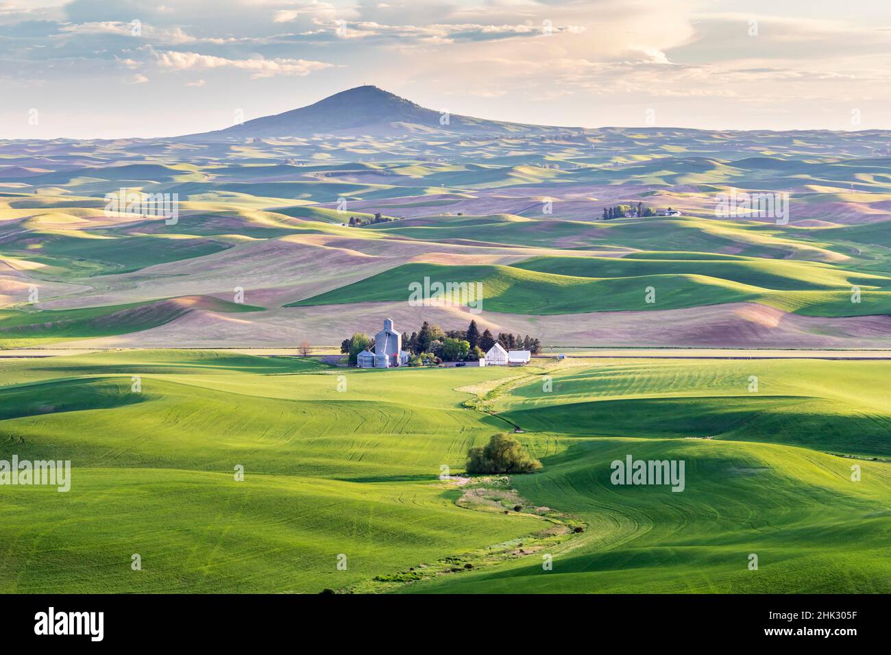 Palouse Greenfield