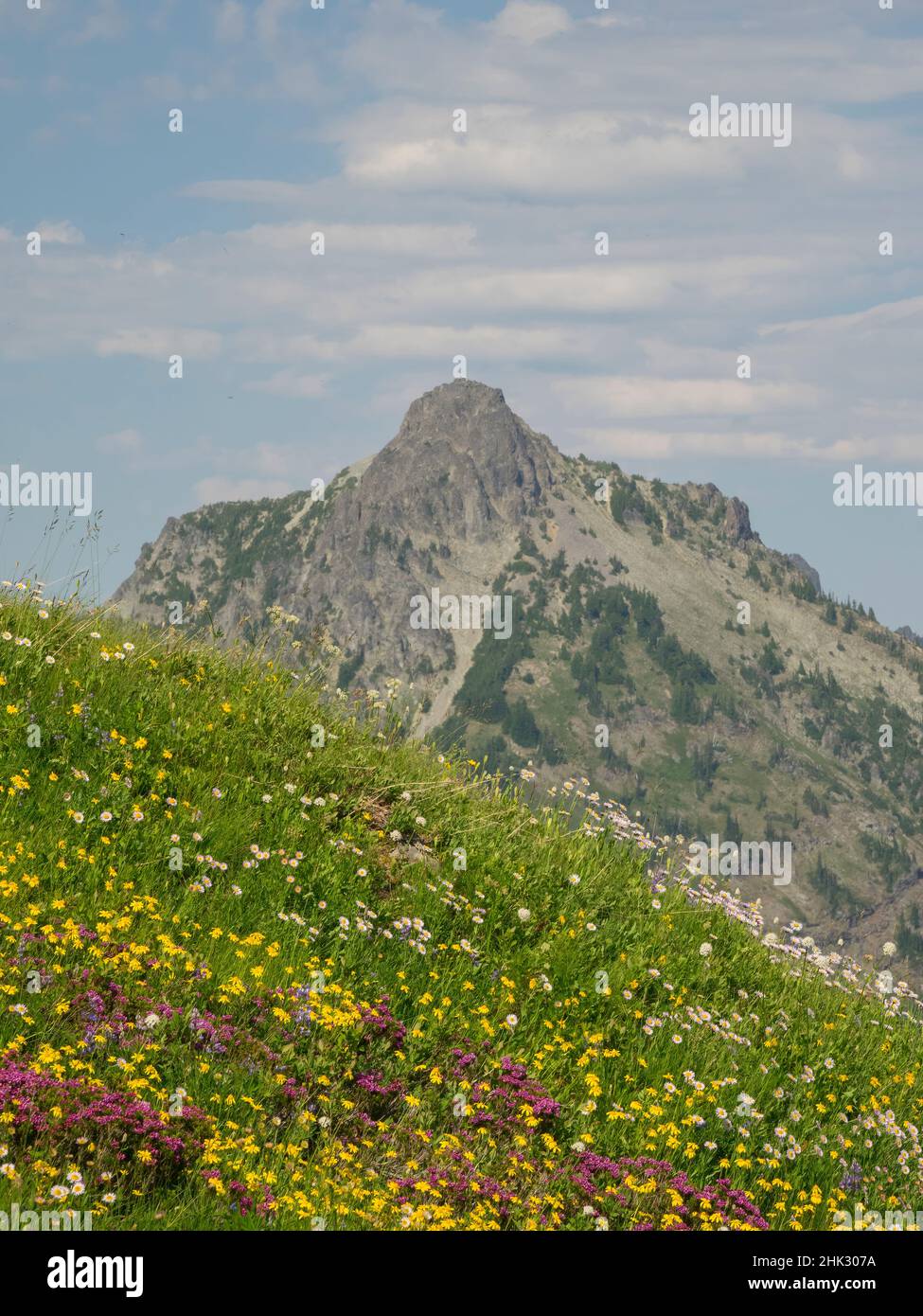 Washington State, Central Cascades, Rampart Ridge, Alta Mountain and ...