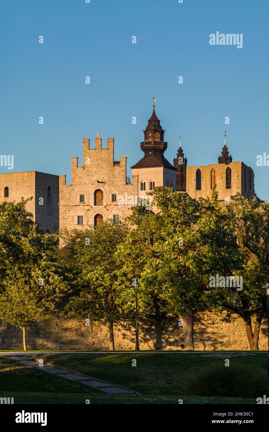 Sweden, Gotland Island, Visby, Visby Cathedral, 12th century, and the ...