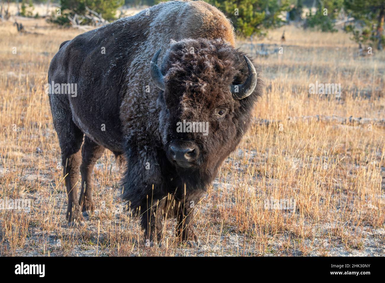 Cindy horn hi-res stock photography and images - Alamy