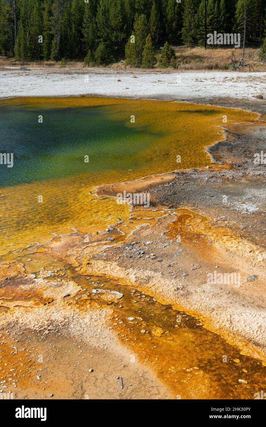 USA, Wyoming, Yellowstone National Park, Black Sand Basin, Emerald Pool ...