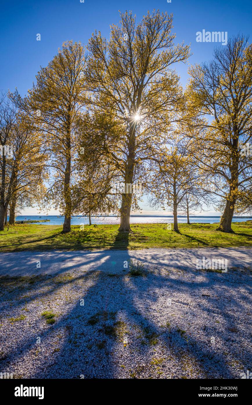 Sweden, Gotland Island, Bungenas, former chalk mine and military base ...
