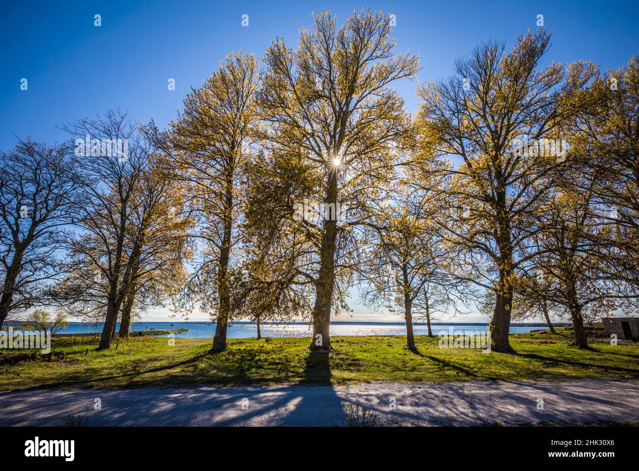 Sweden, Gotland Island, Bungenas, former chalk mine and military base ...