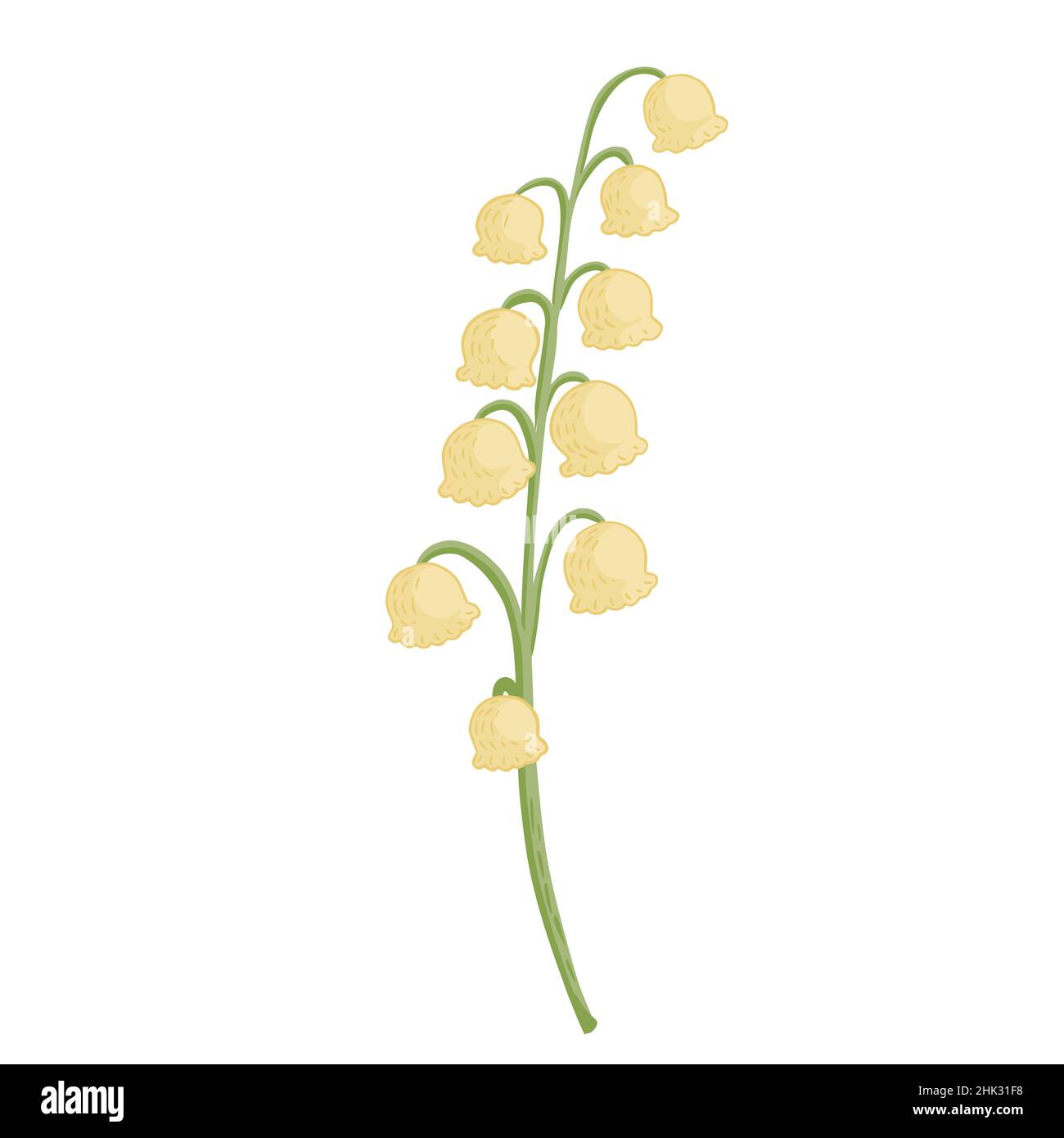 Flower lily of the valley isolated on white background. Beautiful hand drawn botanical sketches ...