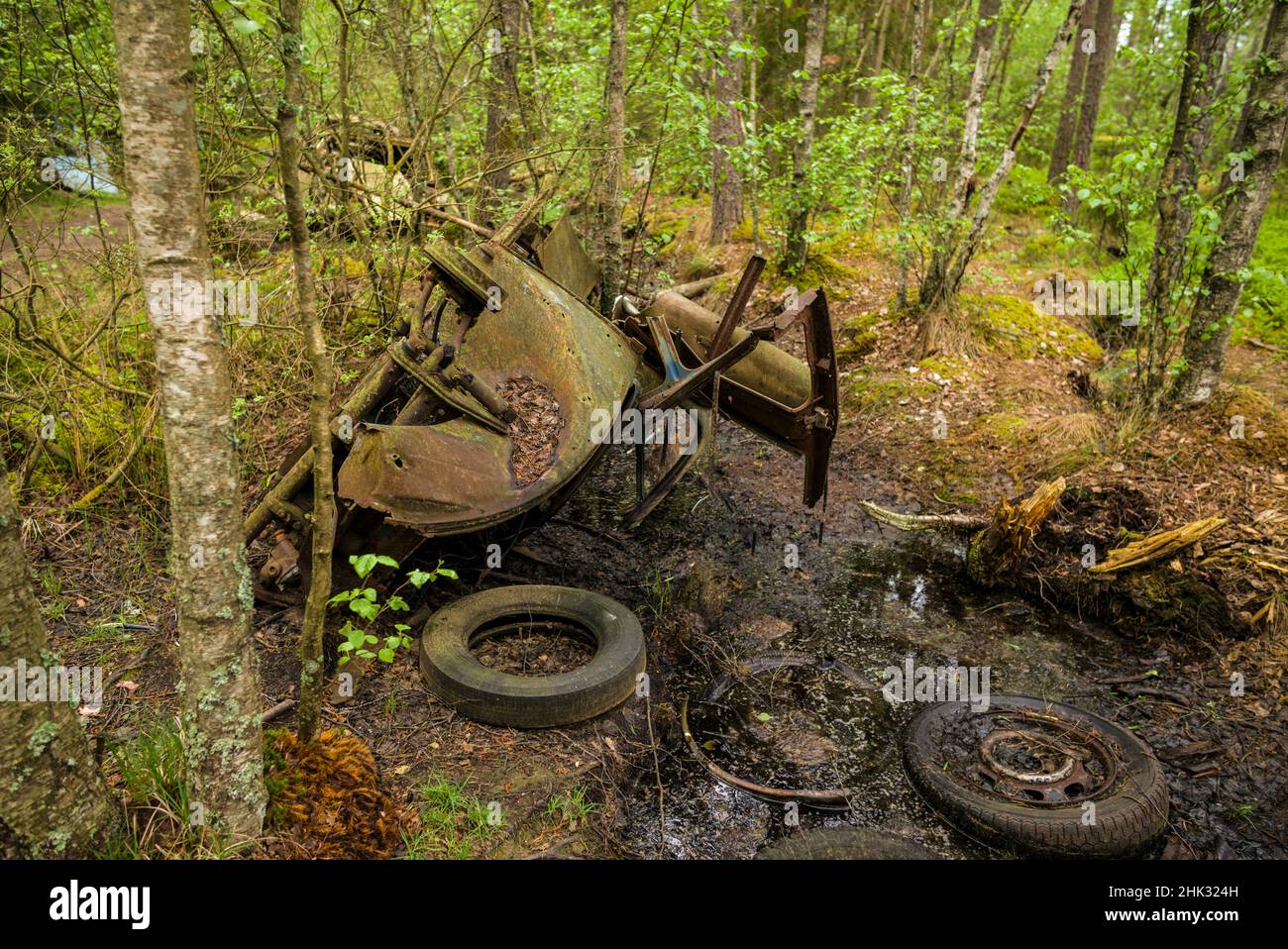 Sweden, Smaland, Ryd, Kyrko Mosse Car Cemetery, former junkyard now pubic park, junked cars ...