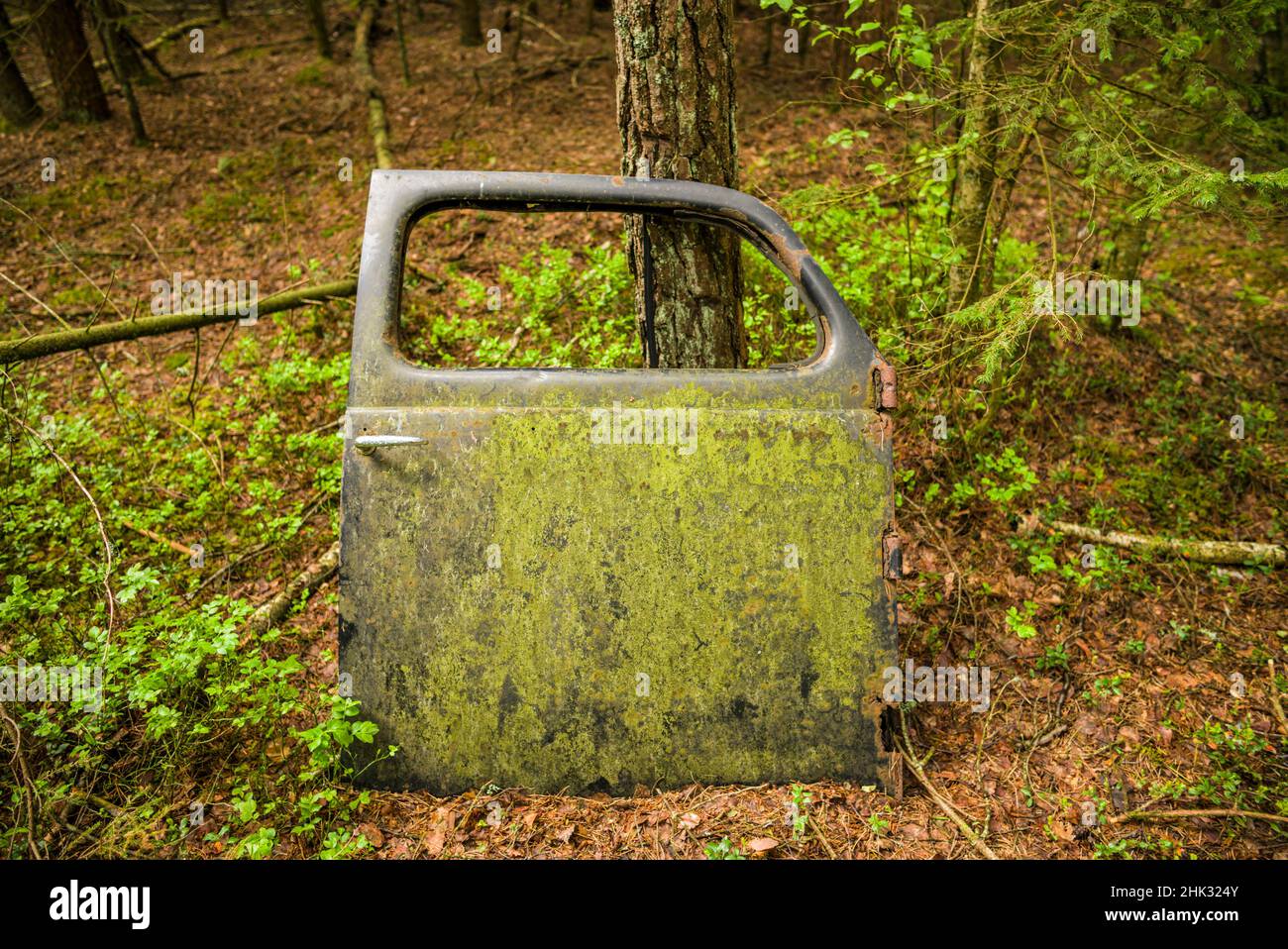 Sweden, Smaland, Ryd, Kyrko Mosse Car Cemetery, former junkyard now pubic park, junked cars ...