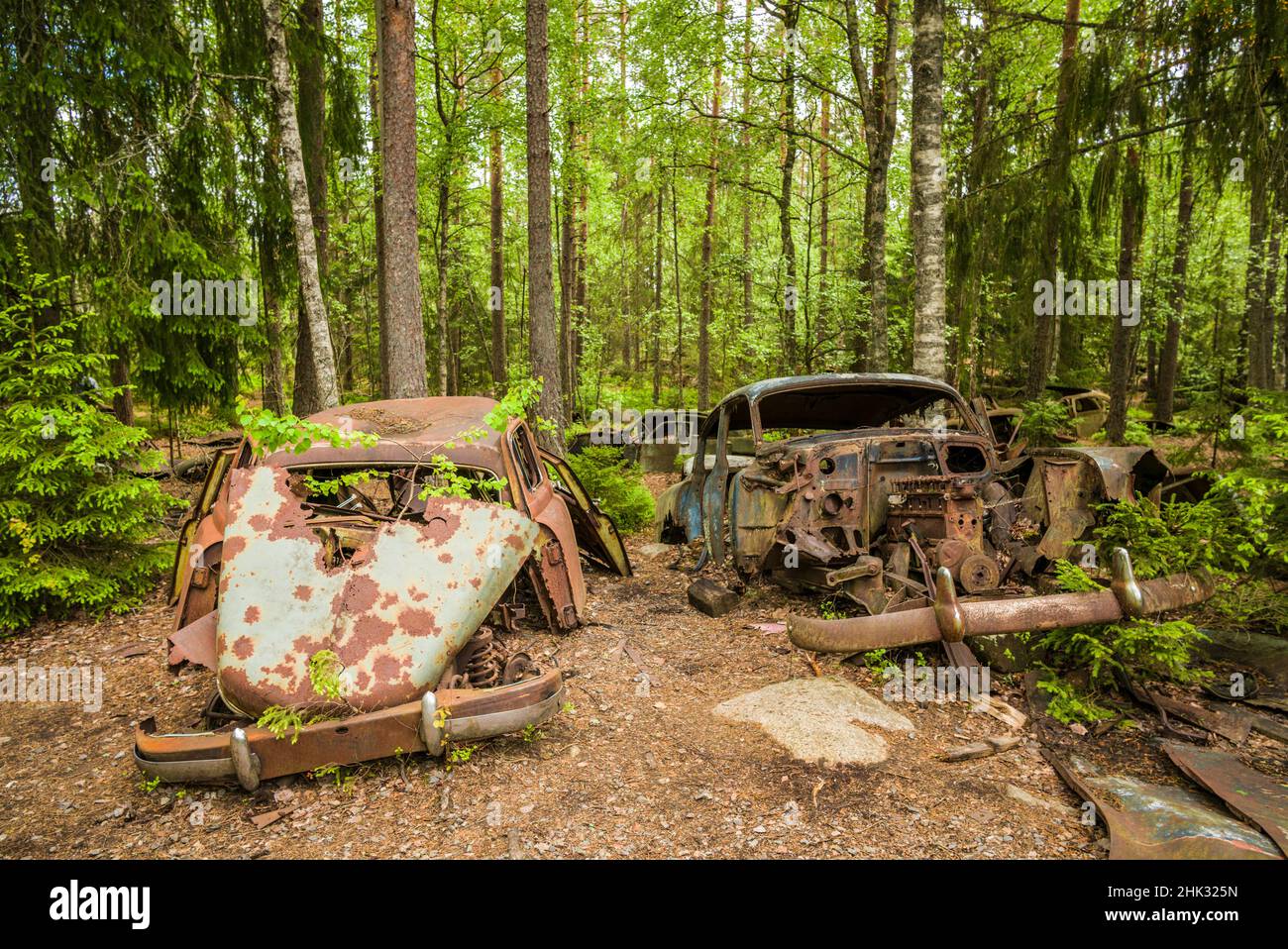 Sweden, Smaland, Ryd, Kyrko Mosse Car Cemetery, former junkyard now pubic park, junked cars ...