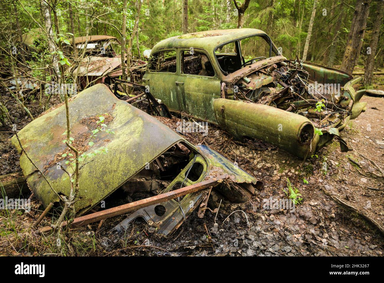 Sweden, Smaland, Ryd, Kyrko Mosse Car Cemetery, former junkyard now pubic park, junked cars ...