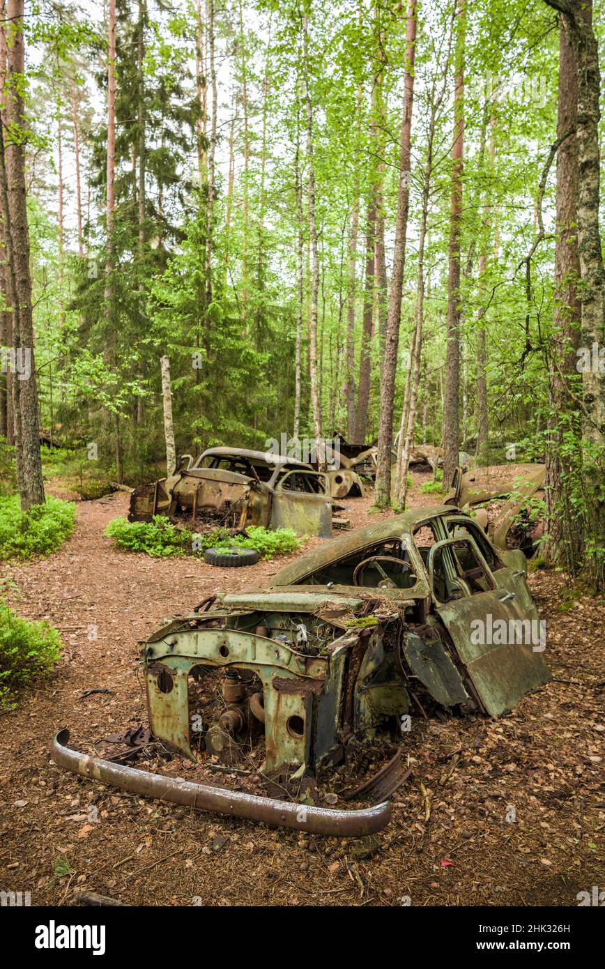 Sweden, Smaland, Ryd, Kyrko Mosse Car Cemetery, former junkyard now pubic park, junked cars ...