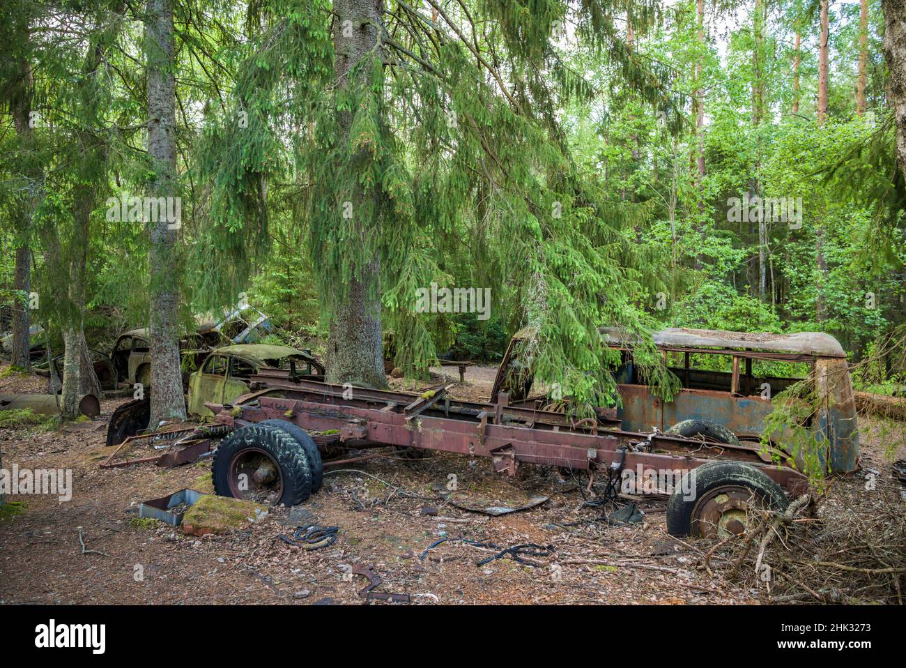 Sweden, Smaland, Ryd, Kyrko Mosse Car Cemetery, former junkyard now pubic park, junked cars ...