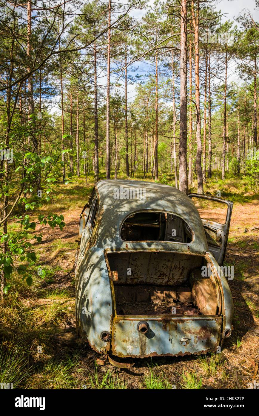 Sweden, Smaland, Ryd, Kyrko Mosse Car Cemetery, former junkyard now pubic park, junked cars ...