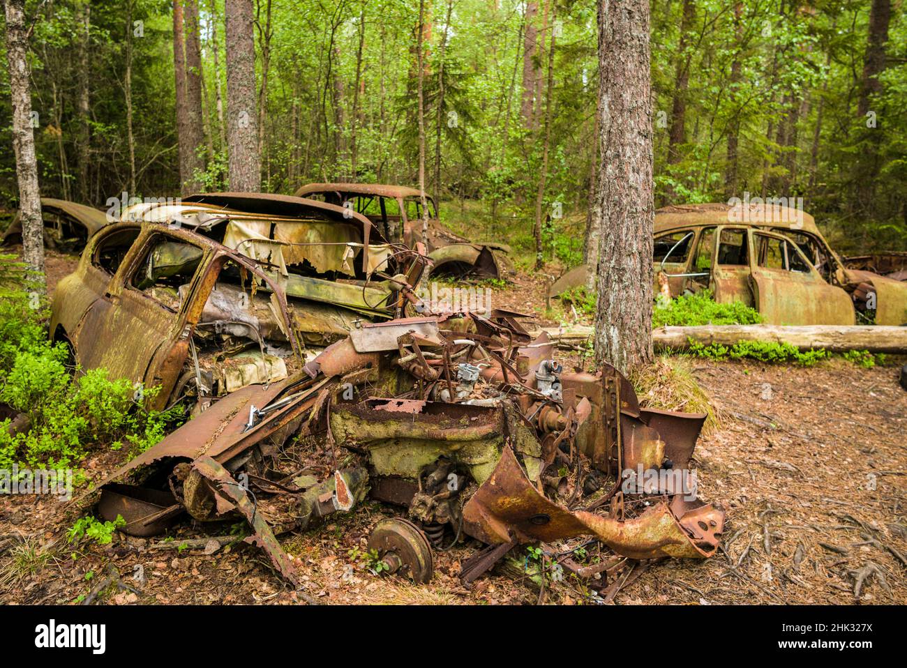 Sweden, Smaland, Ryd, Kyrko Mosse Car Cemetery, former junkyard now pubic park, junked cars ...