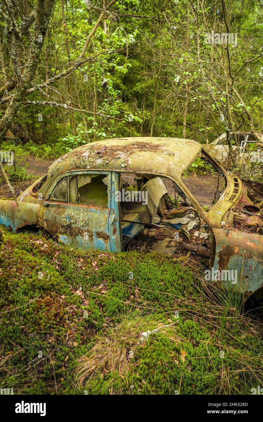 Sweden, Smaland, Ryd, Kyrko Mosse Car Cemetery, former junkyard now pubic park, junked cars ...