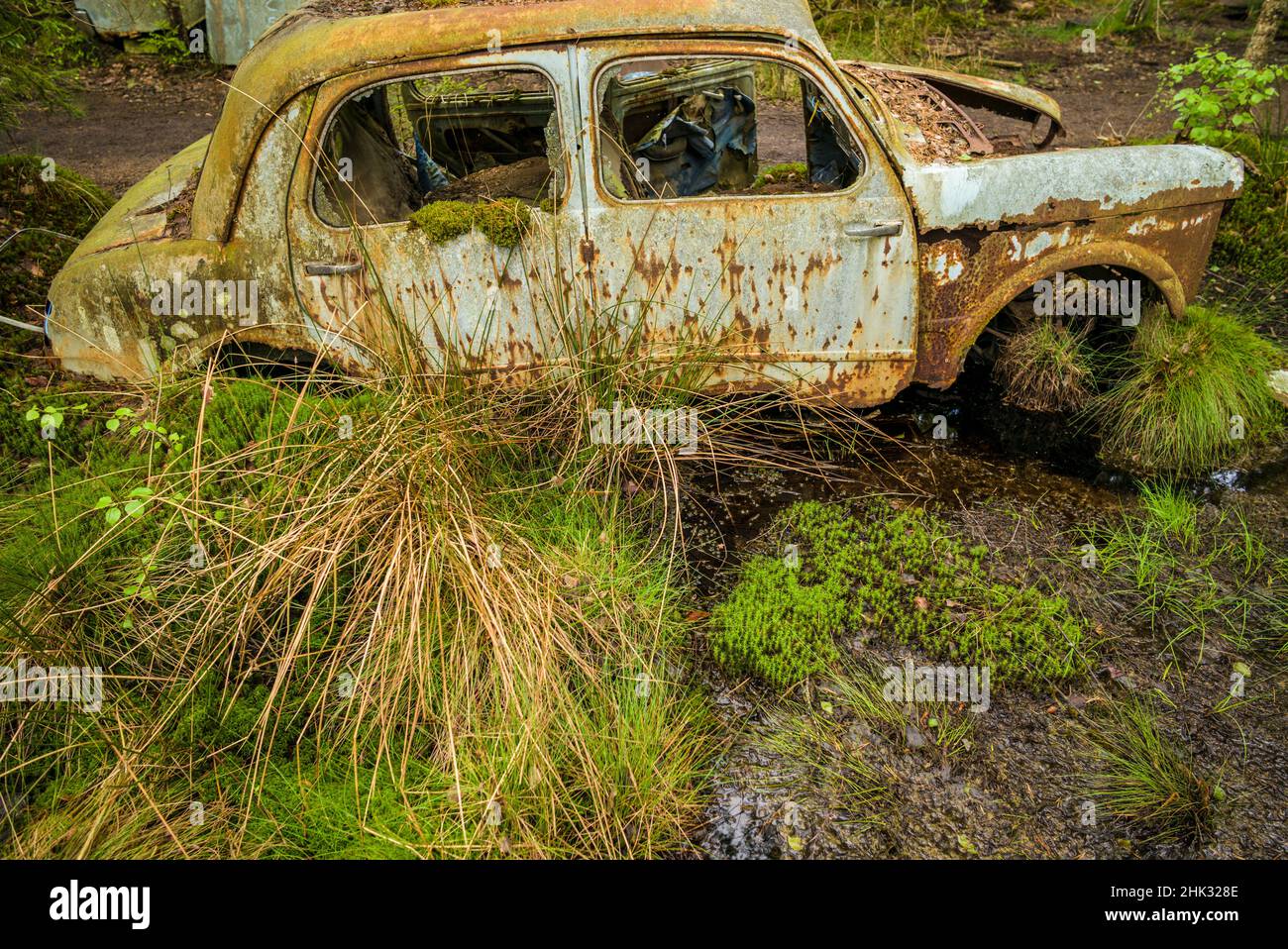 Sweden, Smaland, Ryd, Kyrko Mosse Car Cemetery, former junkyard now pubic park, junked cars ...
