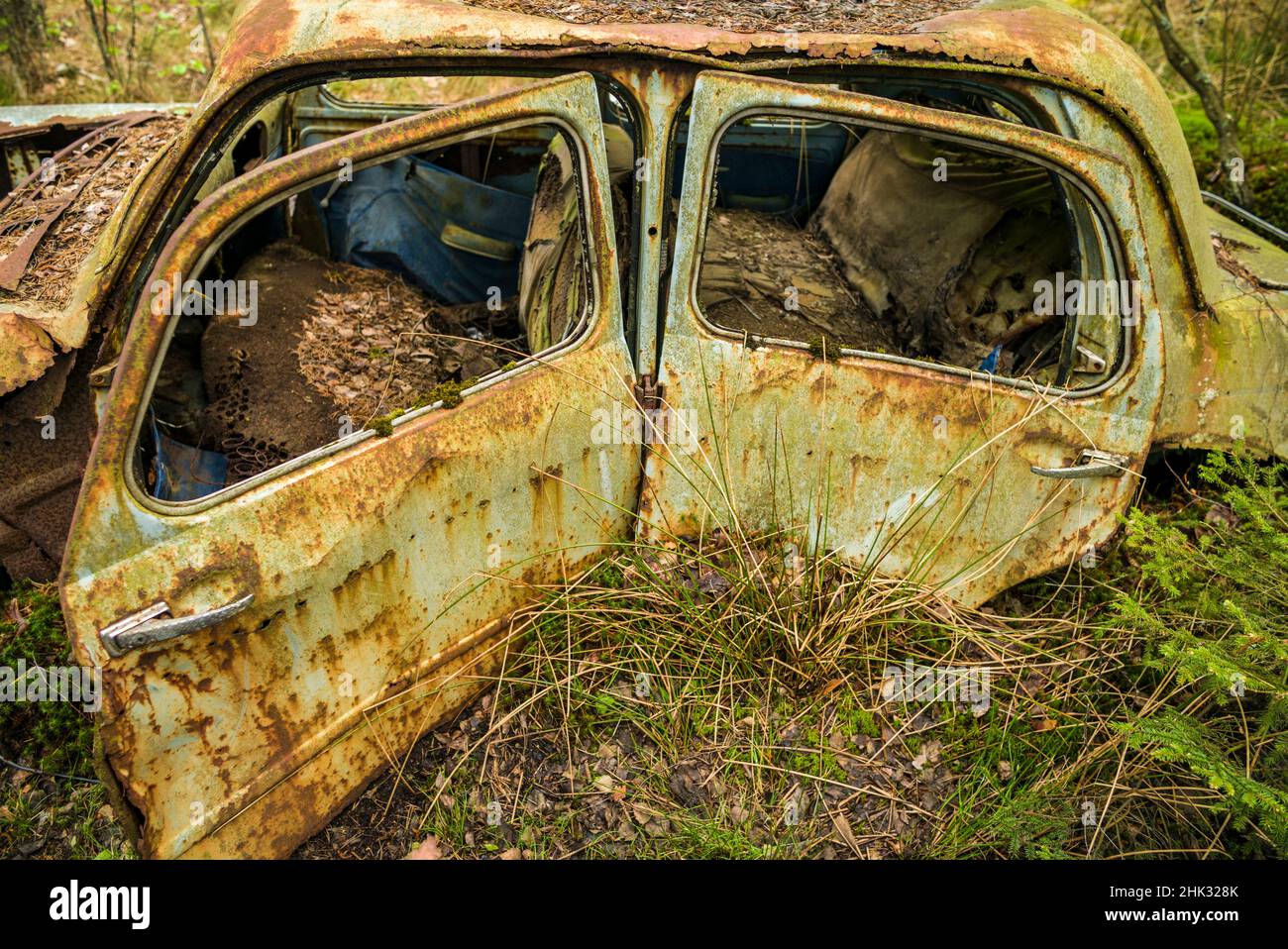 Sweden, Smaland, Ryd, Kyrko Mosse Car Cemetery, former junkyard now pubic park, junked cars ...