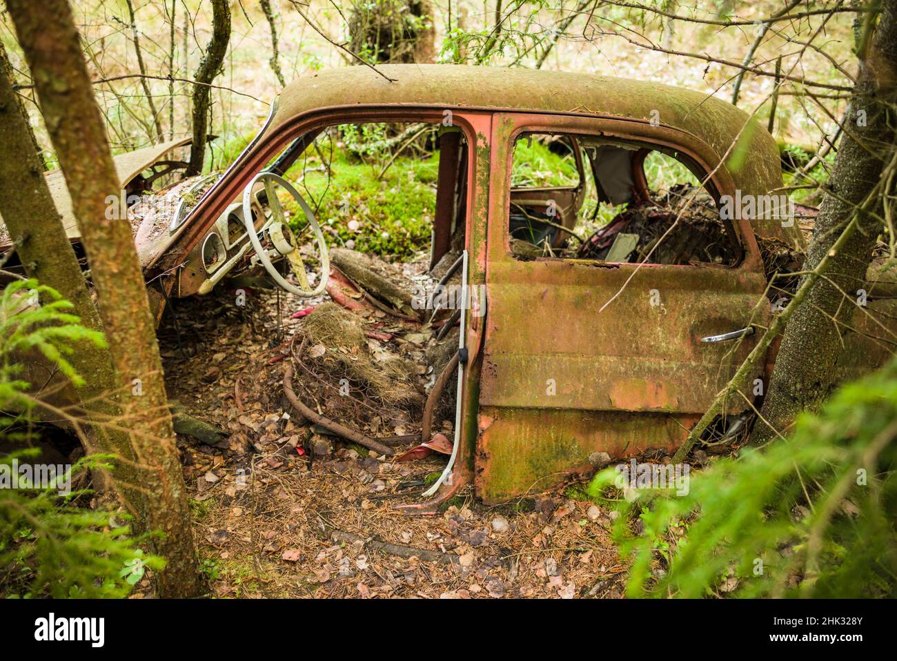Sweden, Smaland, Ryd, Kyrko Mosse Car Cemetery, former junkyard now pubic park, junked cars ...