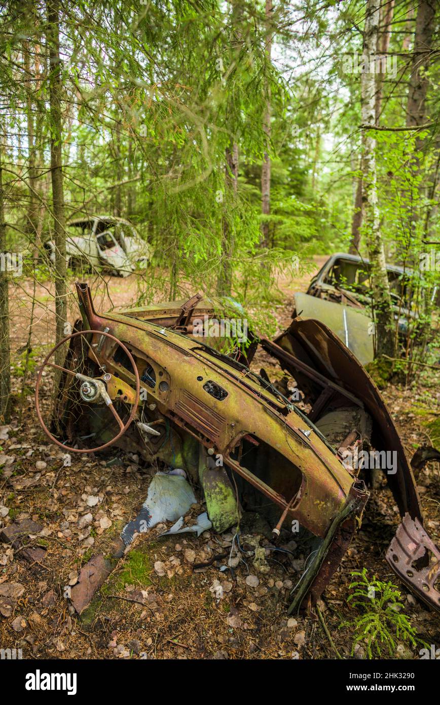 Sweden, Smaland, Ryd, Kyrko Mosse Car Cemetery, former junkyard now pubic park, junked cars ...
