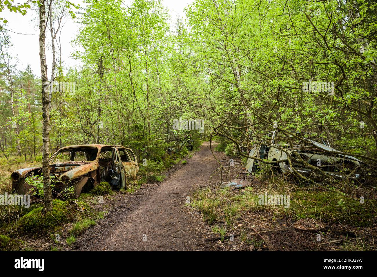 Sweden, Smaland, Ryd, Kyrko Mosse Car Cemetery, former junkyard now pubic park, junked cars ...