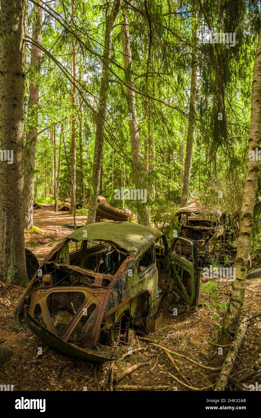 Sweden, Smaland, Ryd, Kyrko Mosse Car Cemetery, former junkyard now pubic park, junked cars ...