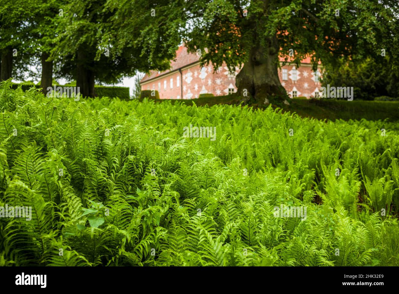 Sweden, Scania, Molle, Krapperups Slott castle, ancient home of the ...