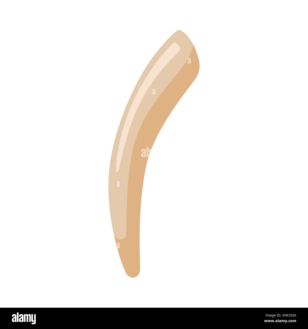 Tusk isolated on white background. Element from archeology in flat ...