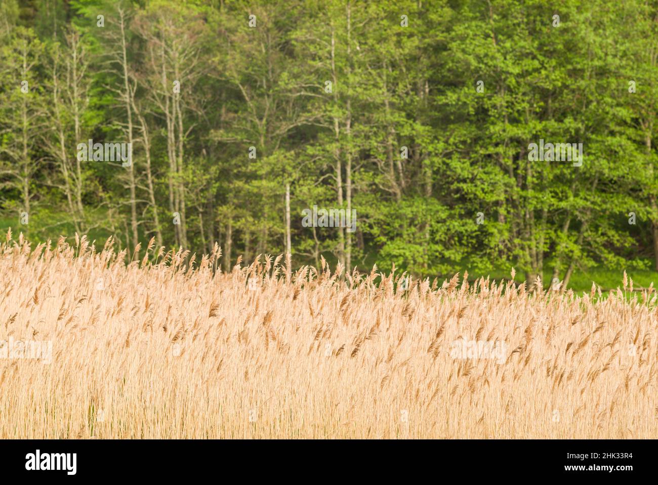 Salto island hi-res stock photography and images - Alamy