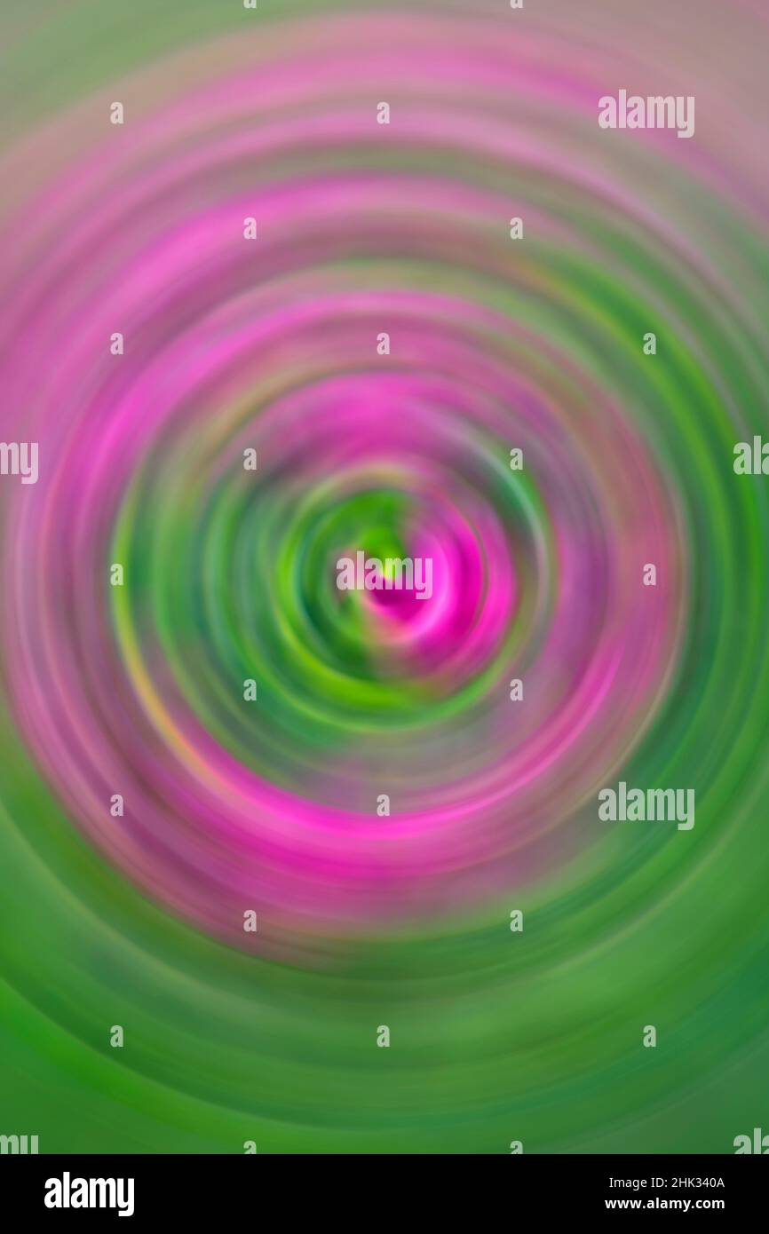Spiral lime hi-res stock photography and images - Alamy