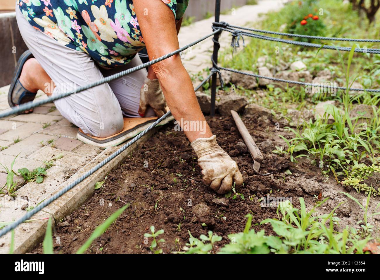 Gardener preparing garden soil removing hi-res stock photography and ...