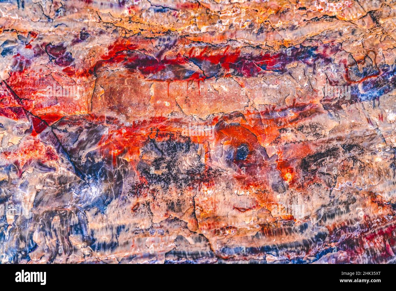 Red, orange and yellow petrified wood abstract, Blue Mesa, Petrified ...