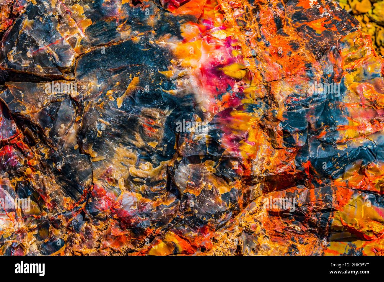 Petrified forest national park visitor center hi-res stock photography ...