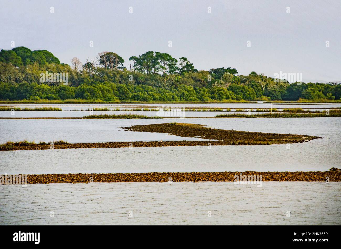 USA, Florida, Cedar Key, Coastal Tidal Salt Marsh Stock Photo - Alamy