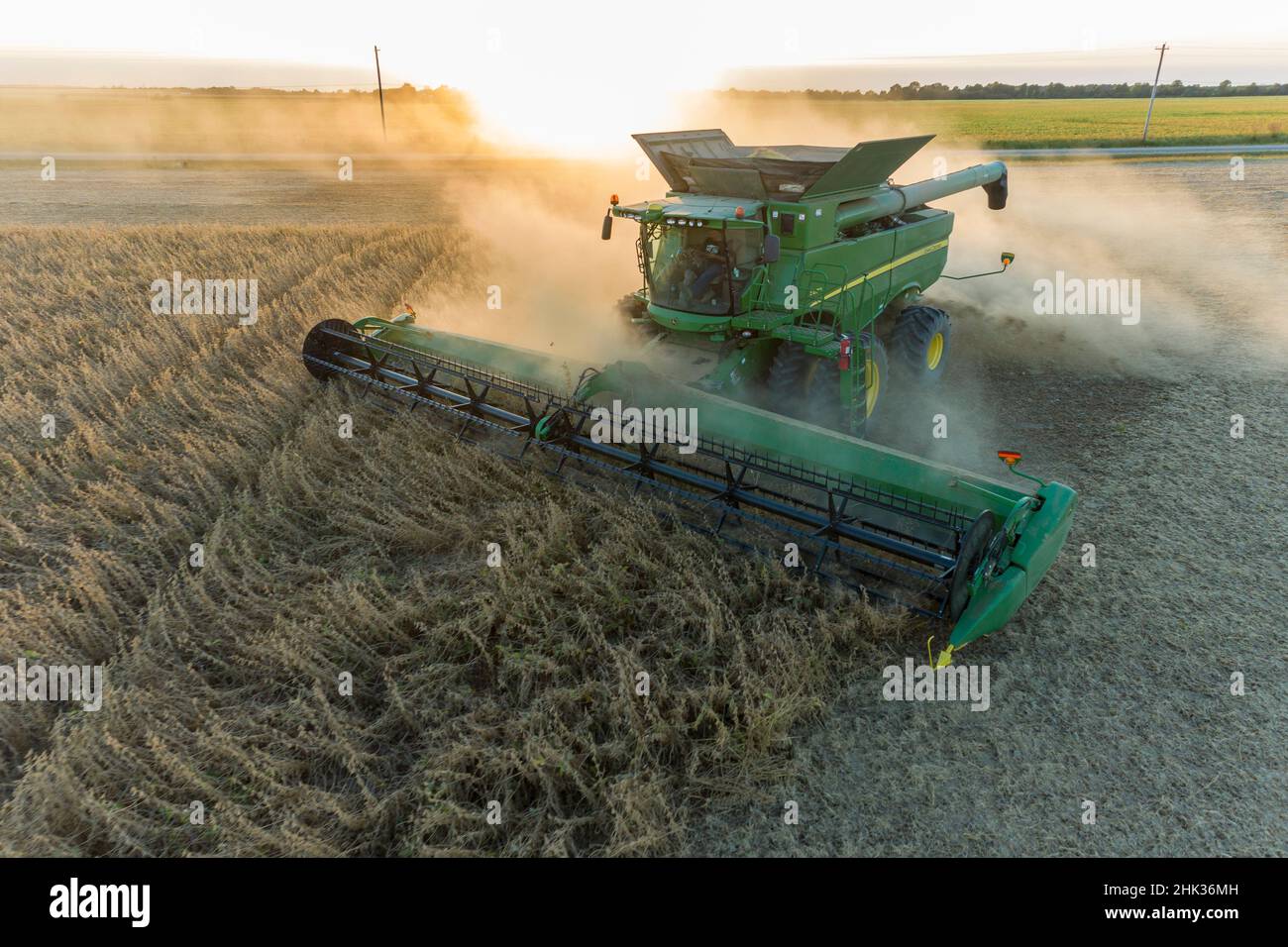 Aerial view of combine harvesting soybean field at sunset, Marion ...
