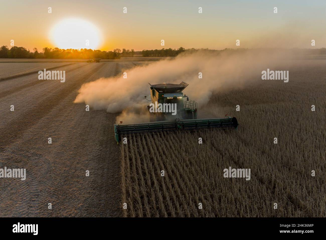 Aerial view of combines harvesting soybean field at sunset, Marion ...