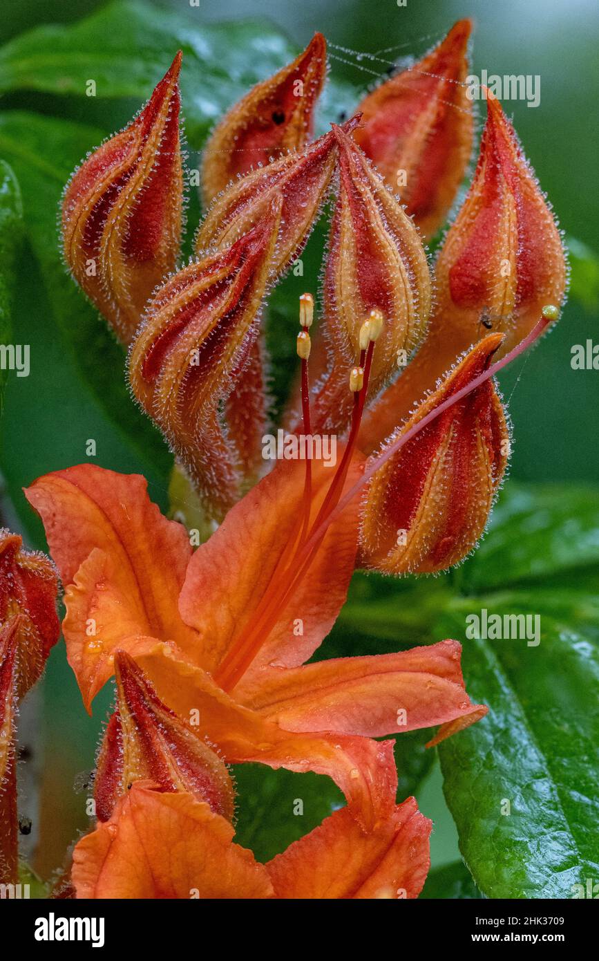 New delight inn hi-res stock photography and images - Alamy