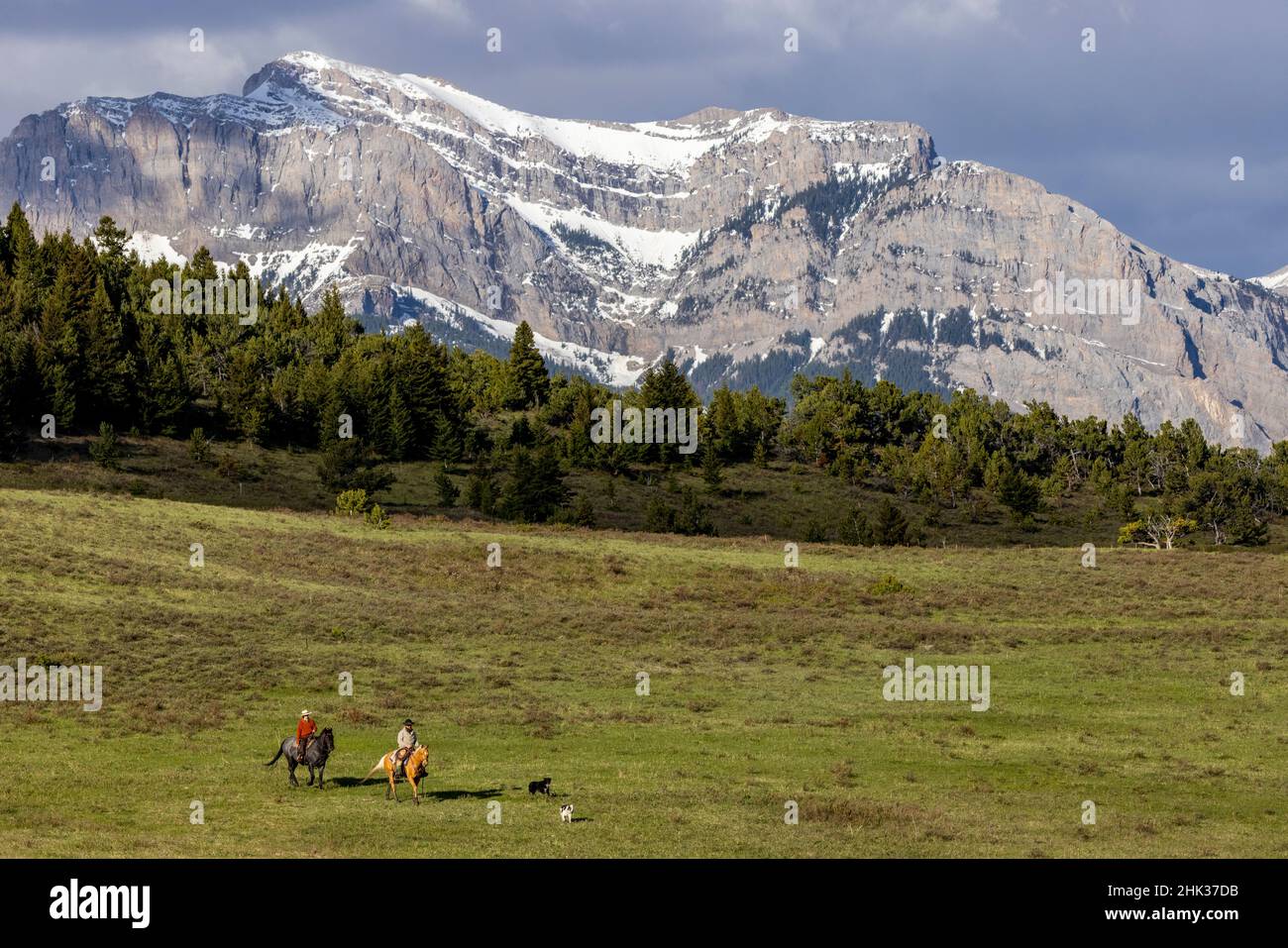 Theodore roosevelt memorial ranch hi-res stock photography and images ...