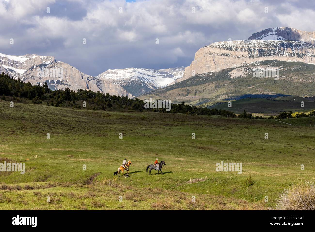 Cowboys ride at the Theodore Roosevelt Memorial Ranch near Dupuyer ...