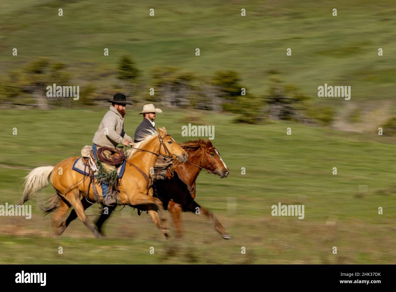 Cowboys ride at the Theodore Roosevelt Memorial Ranch near Dupuyer ...