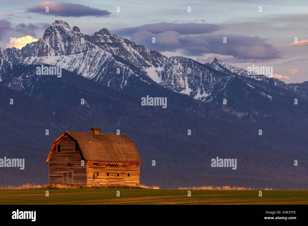Rustic old barn in evening light with Mission Mountains in Pablo ...