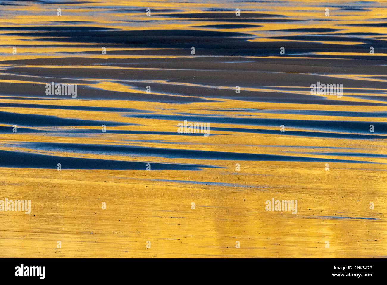 Sunrise reflection on wet sand beach at Cape Kiwanda in Pacific City ...