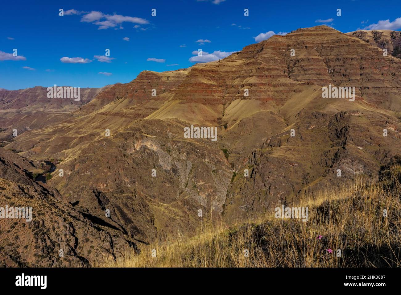 Imnaha River Canyon in the Wallowa National Forest near Imnaha, Oregon ...