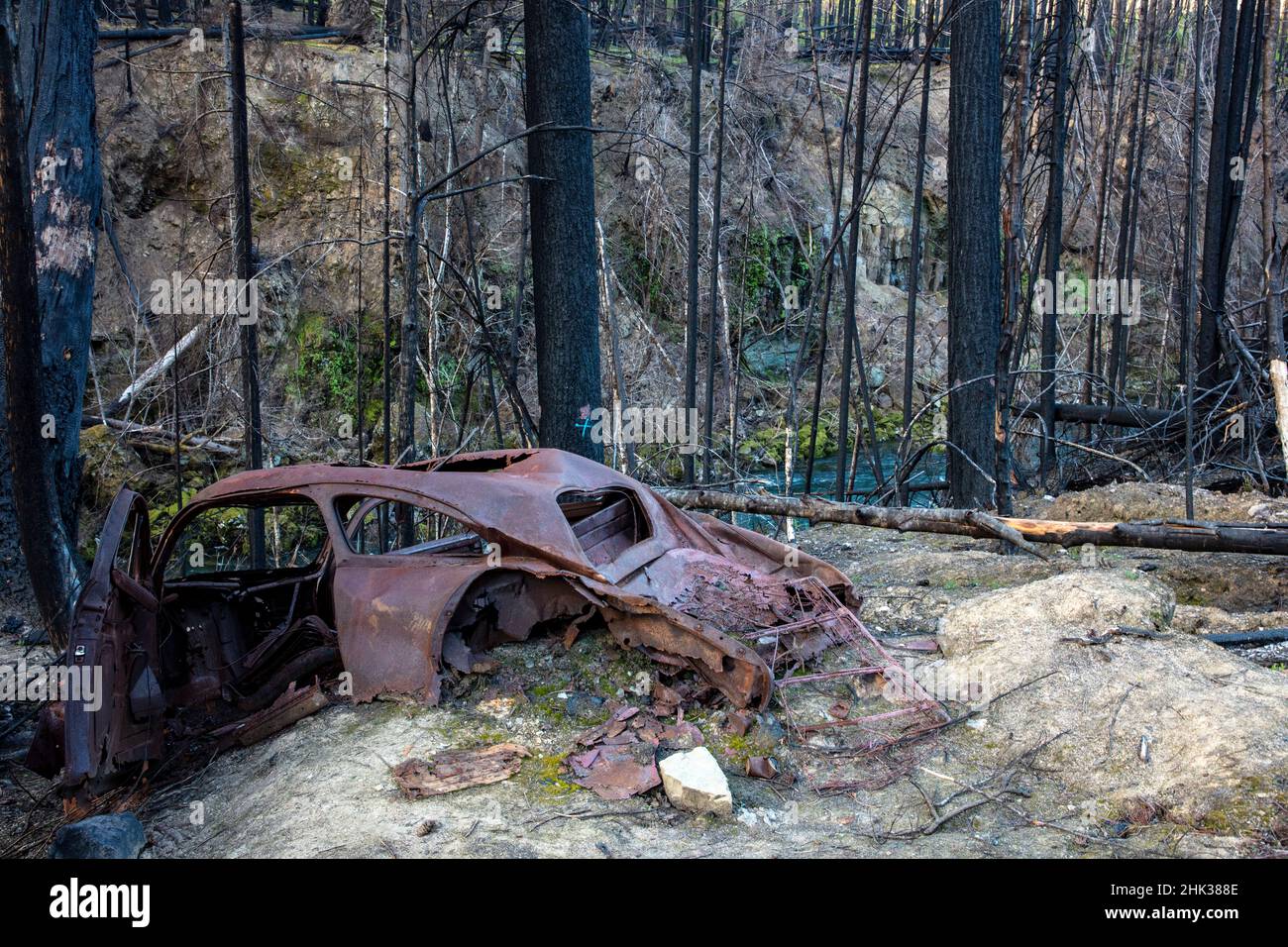 Remnants of vast forest fire along the North Umpqua River in the Umpqua ...
