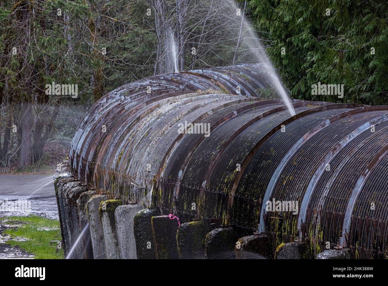 Leaky Toketee Project pipeline in the Umpqua National Forest, Oregon ...