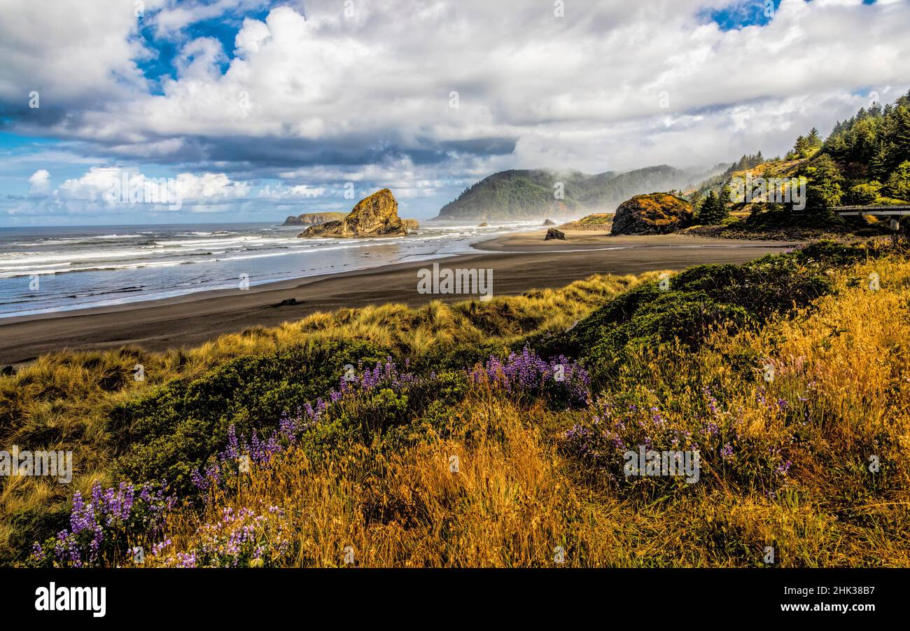 Cape sebastian oregon hi-res stock photography and images - Alamy