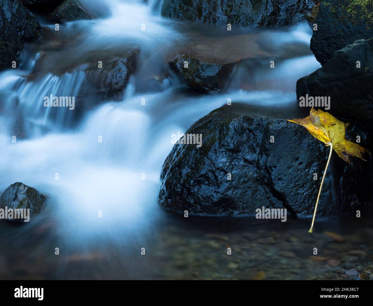 Oregon, Columbia River Gorge National Scenic Area, Cascade on ...