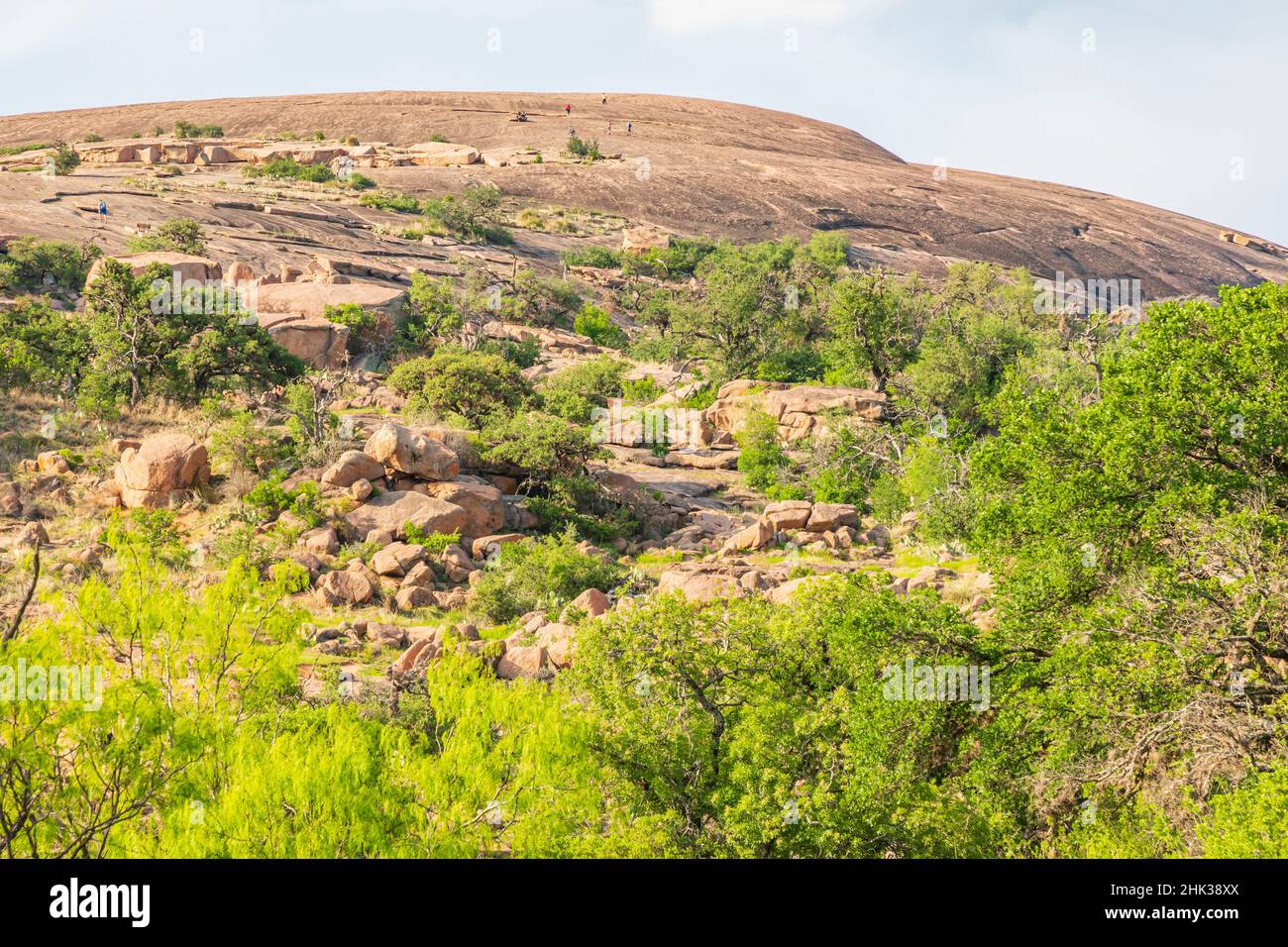 Castroville, Texas, USA. Bed rock hill in the Texas Hill Country Stock ...