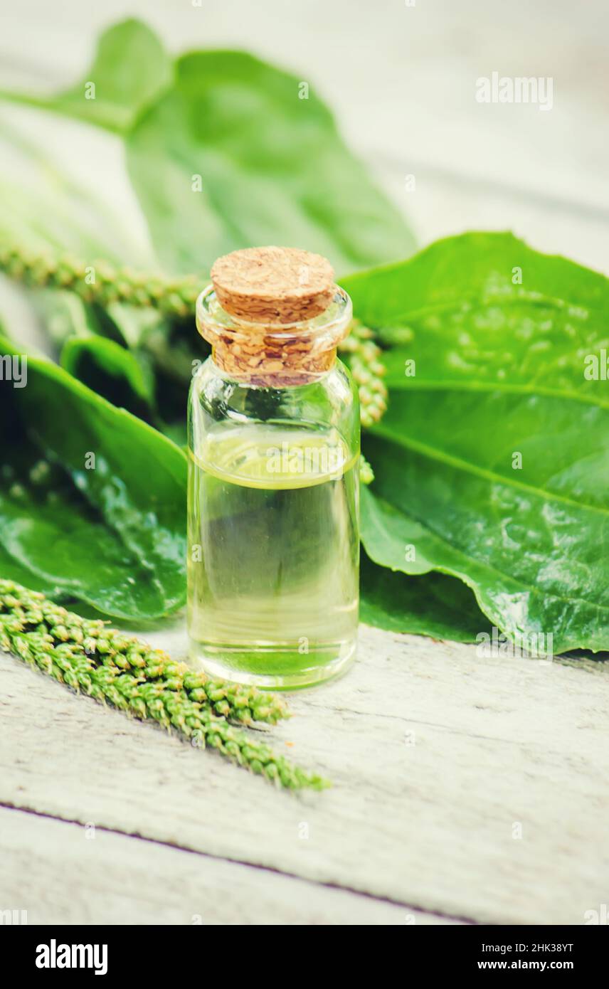 Most common pipette hi-res stock photography and images - Alamy