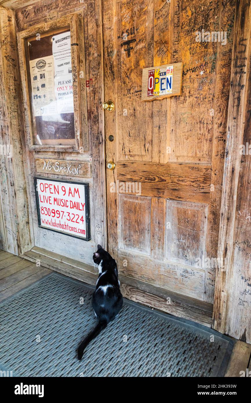 Luckenbach, Texas, USA. Cat at the door of a saloon in Luckenbach ...